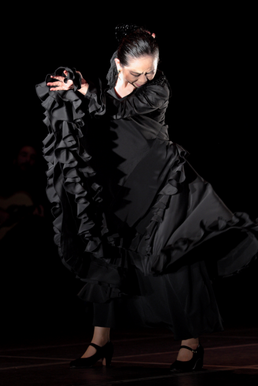 プロフィール - ECOFLAMENCO