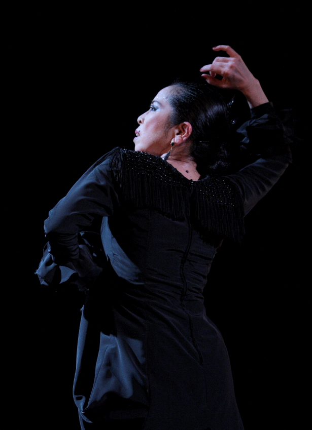 プロフィール - ECOFLAMENCO