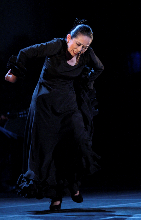 プロフィール - ECOFLAMENCO